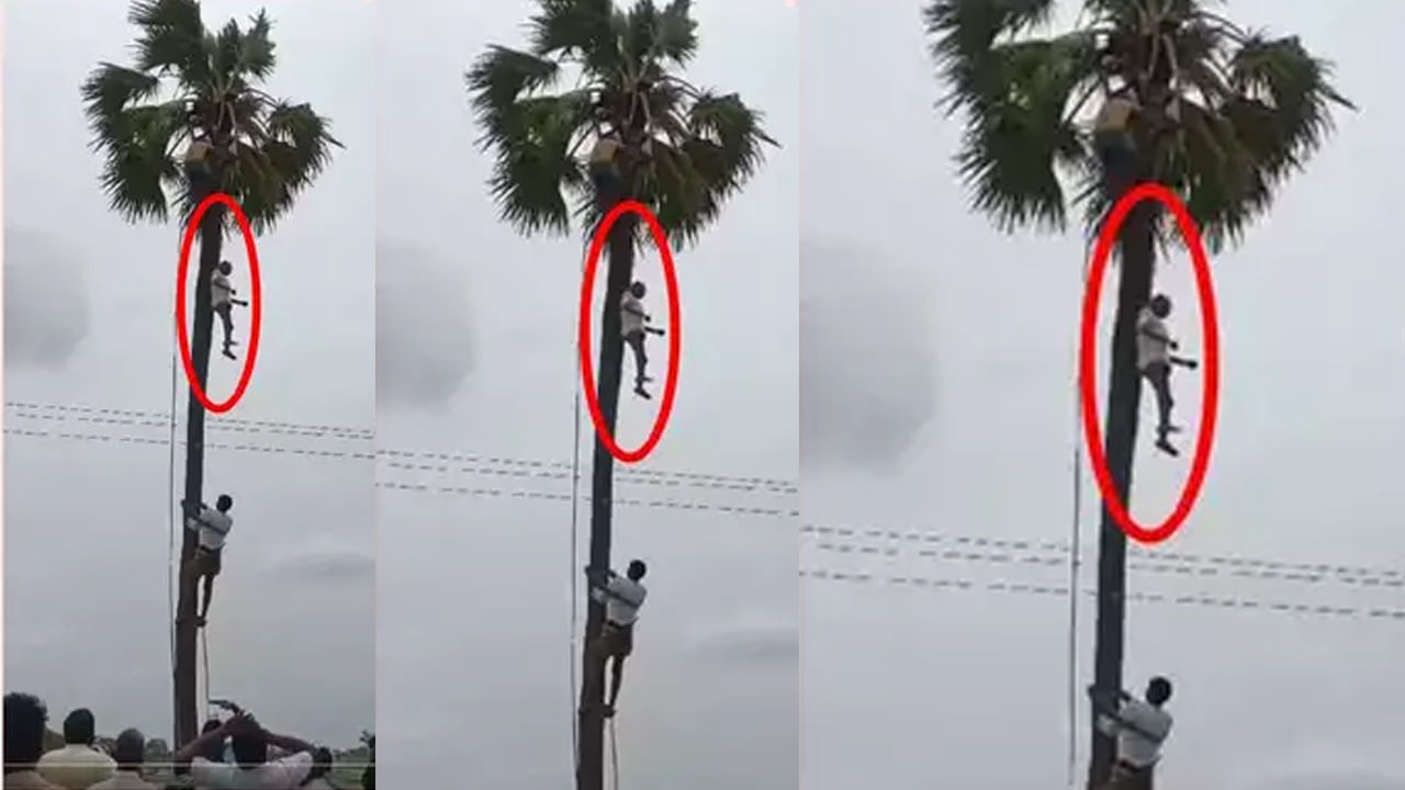 Suryapet: తాటిచెట్టు పైకి ఎక్కి ఉరేసుకున్న వృద్ధుడు.. మృతదేహాన్ని ...