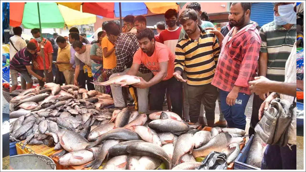 Fish Market: దేశంలోని 7 అతిపెద్ద చేపల మార్కెట్లు ఎక్కడున్నాయో తెలుసా ...
