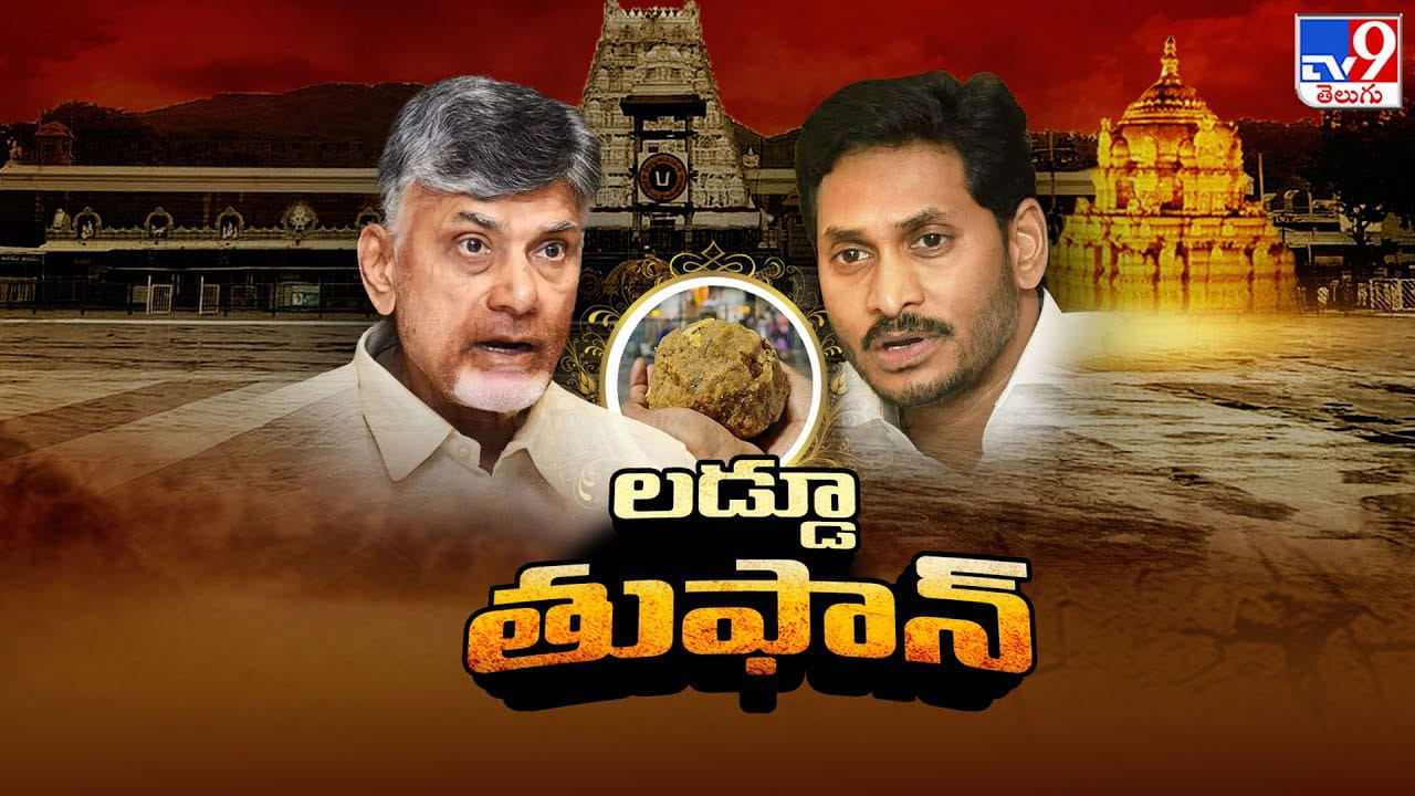 Tirumala Laddu Row: ఏపీలో లడ్డూ తుఫాన్‌.. చంద్రబాబు సర్కార్ సంచలన నిర్ణయం.. - Telugu News | CM ...