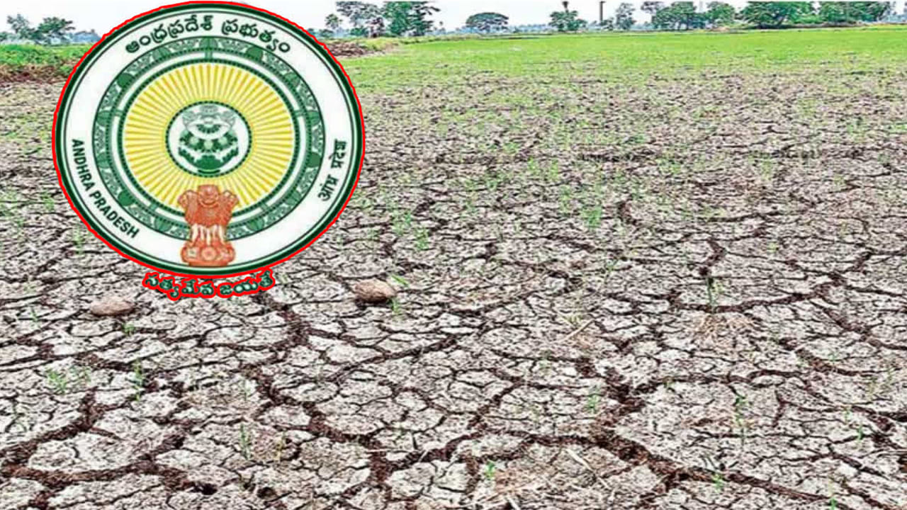 Andhra Pradesh: రాష్ట్రంలో 5 జిల్లాల్లో... 54 మండలాల్లో కరువు ...