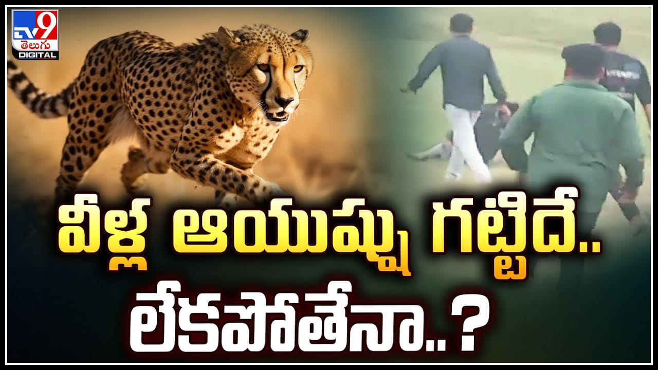 Viral: వీళ్ల ఆయుష్షు గట్టిదే.. లేకపోతేనా.? దాడి చేసిన చిరుత.. - Telugu News | Cheetah attack on ...