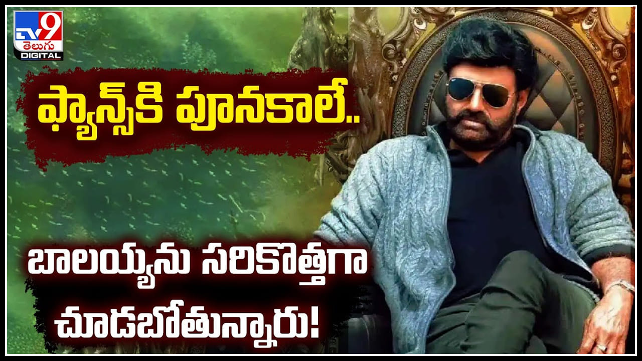 Balakrishna: ఫ్యాన్స్‌కి పూనకాలే.! బాలయ్యను సరికొత్త ప్రయోగం.. - Telugu ...