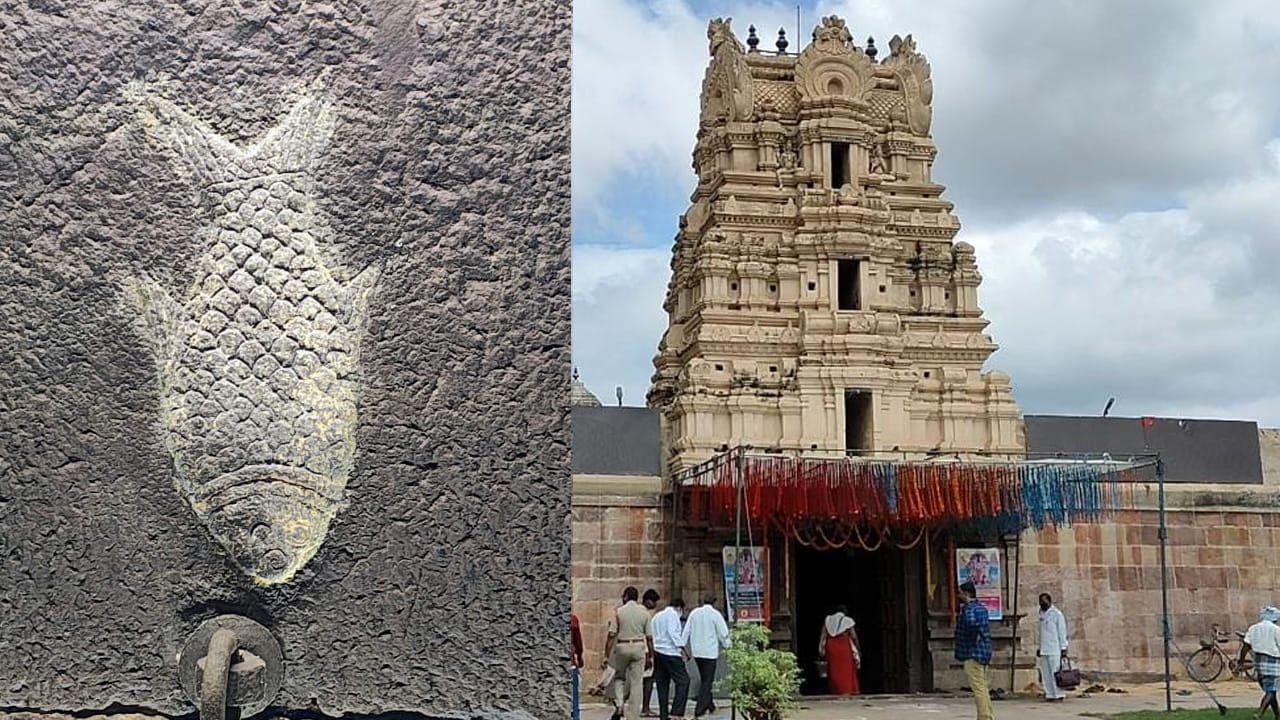 AP News: రాతి చేపకు జీవం వస్తే కలియుగం అంతమే.. ఎక్కడో తెలుసా? - Telugu ...