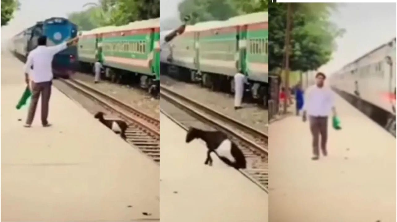 Watch Video: కాస్త మానవత్వం ఉంటే ఈ నోరు లేని జీవి ప్రాణం నిలబడేది ...