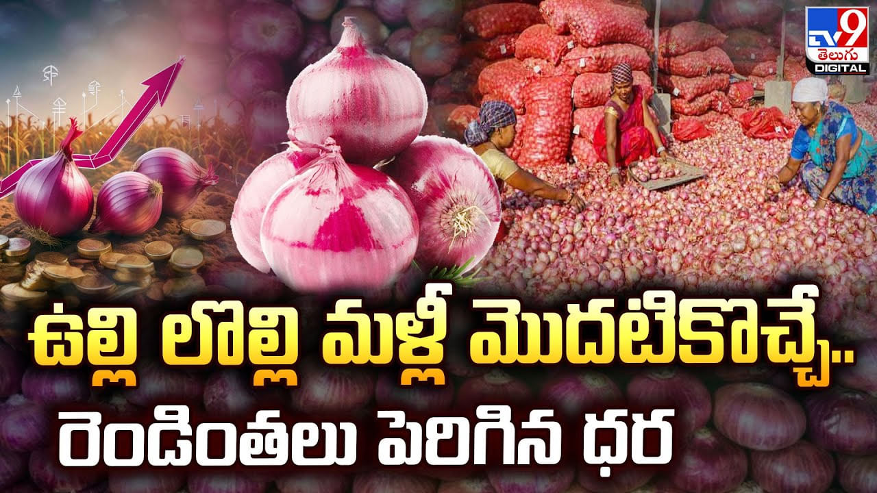 ఉల్లి లొల్లి మళ్లీ మొదటికొచ్చే.. రెండింతలు పెరిగిన ధర - Telugu News | Onion prices increased ...