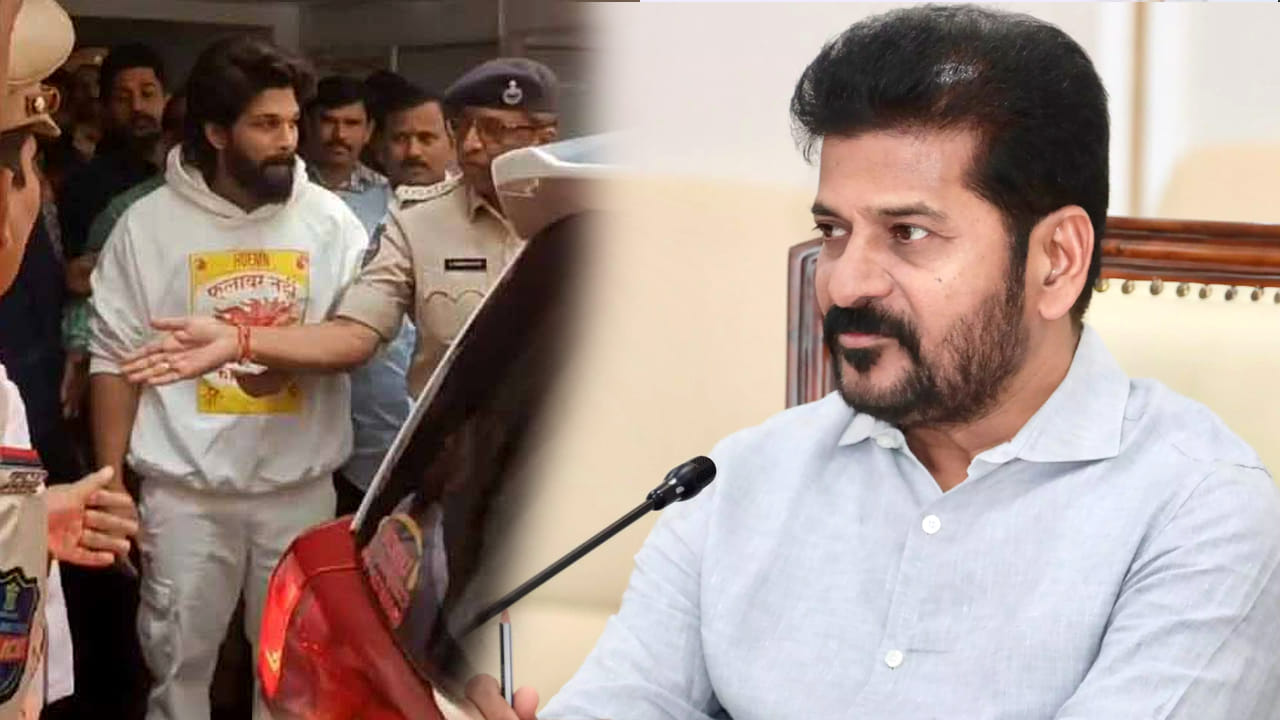 Allu Arjun Arrest: సరిహద్దుల్లో యుద్దాలు చేశారా.? ఎవ్వరు చేసిన తప్పు ...