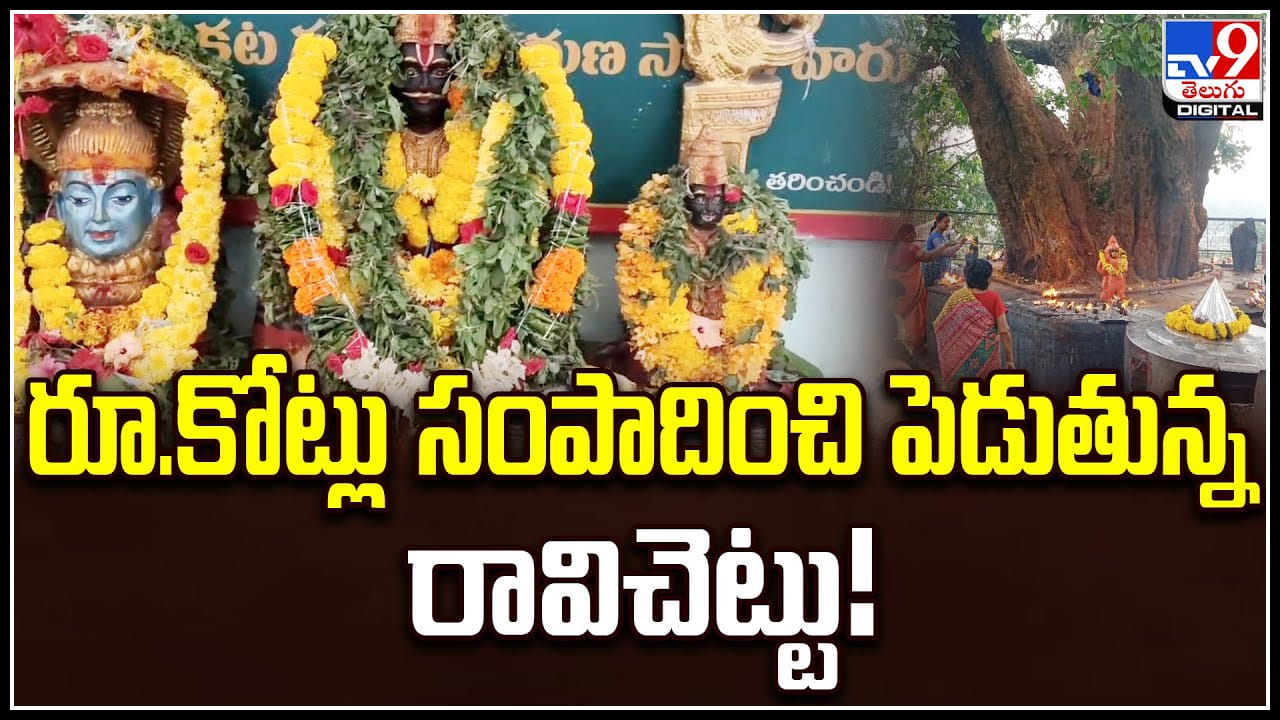 annavaram: వామ్మో.. రూ.కోట్లు సంపాదించి పెడుతున్న రావిచెట్టు.!వీడియో ...