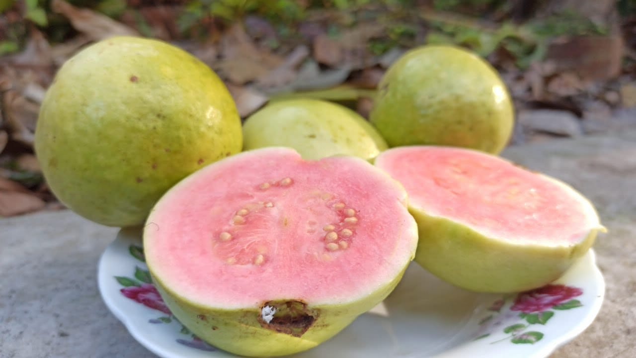 Pink Guava: గులాబీ రంగులో ఉండే జామ పండు ఇంత ప్రత్యేకమా.. - Telugu News ...
