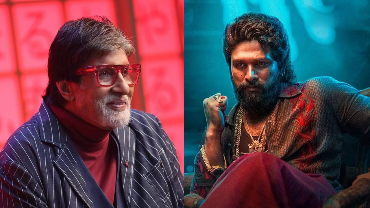 Pushpa 2: పుష్ప రాజ్ పై ప్రశంసలు కురిపించిన బిగ్ బి.. నేను మీ అభిమానిని ...