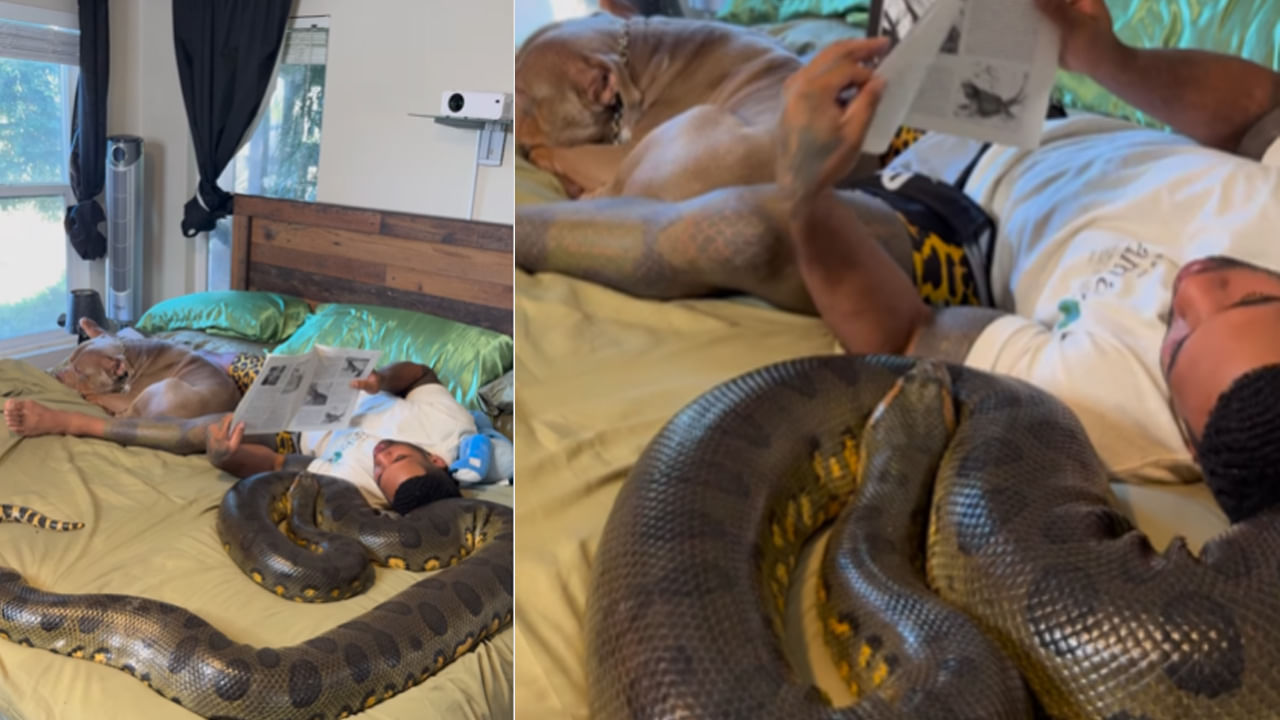 Viral Video: ఆ గుండె బతకాలి.. ఏం ధైర్యంరా వాడిది.. చూస్తేనే ...