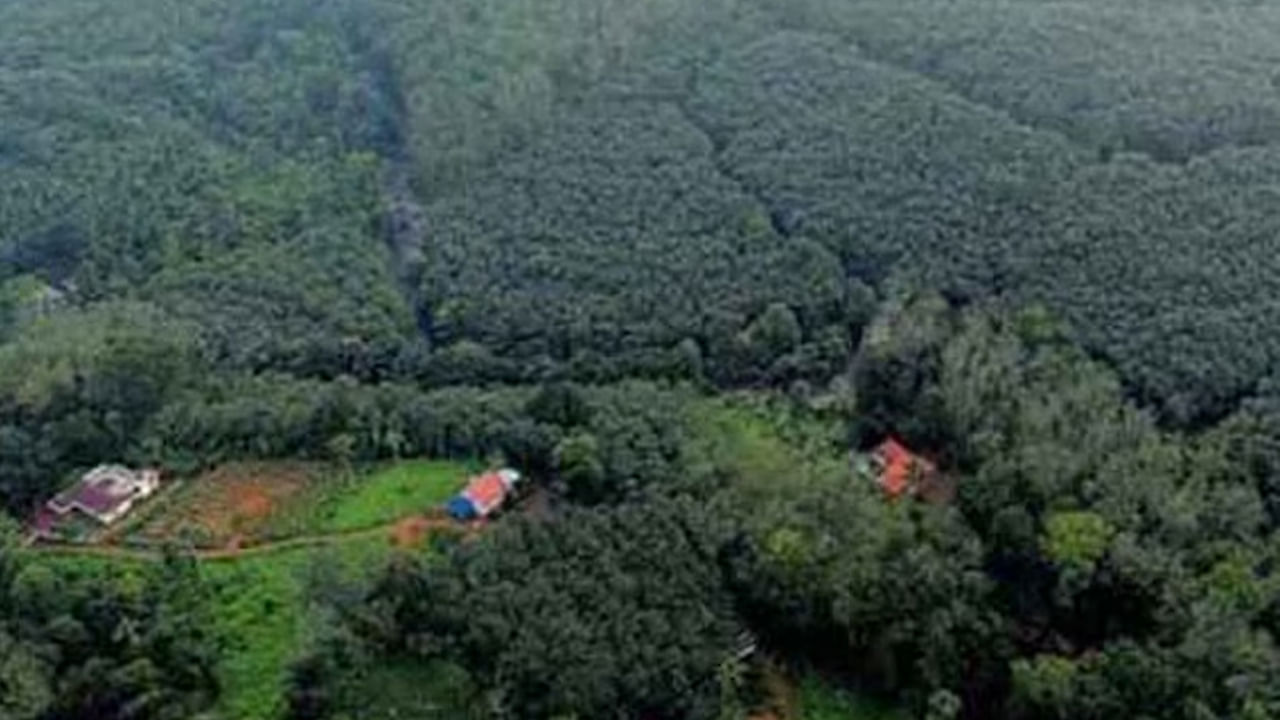 Sabarimala Airport: శబరిమల ఎయిర్‌పోర్ట్ నిర్మాణంపై కీలక అప్‌డేట్ ...