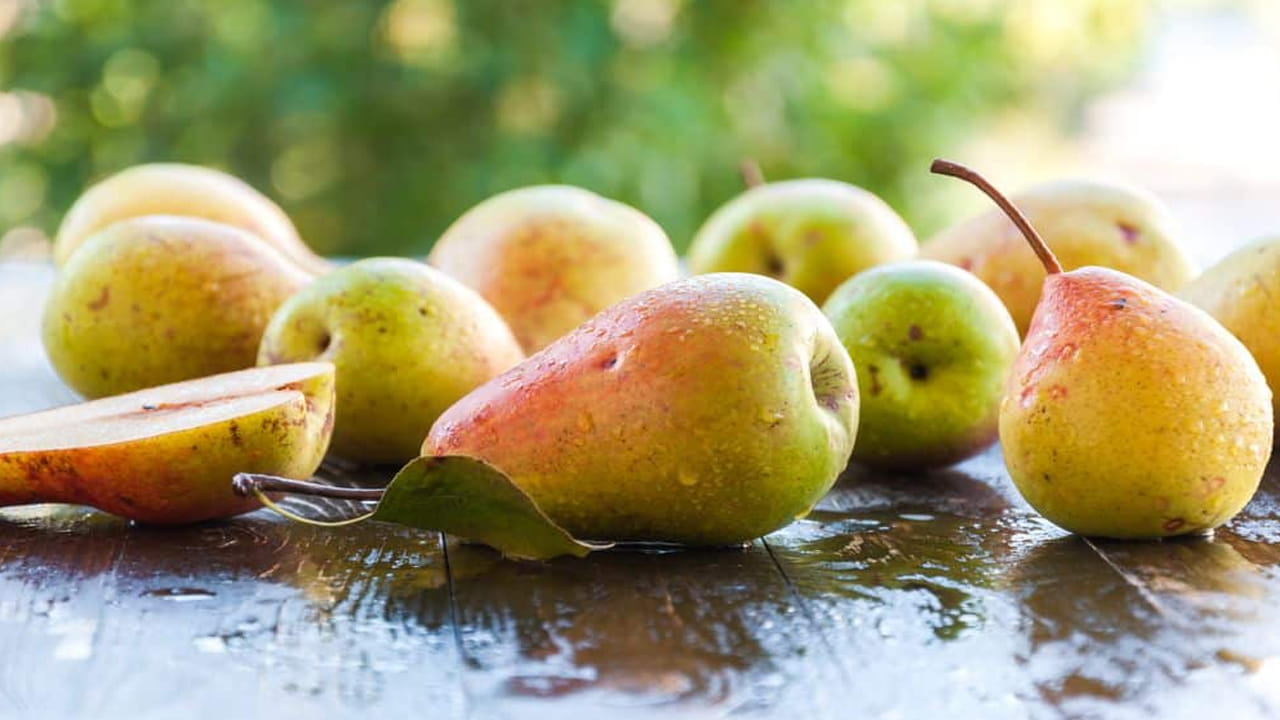 Pear Fruit Benefits: రుచిలో మధురమైన ఈ పండ్లు.. ఇలాంటి వ్యాధుల నివారణకు ...