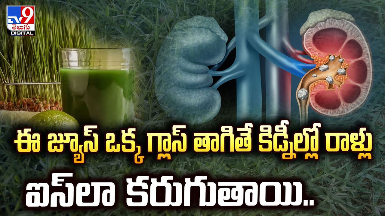 ఈ జ్యూస్ ఒక్క గ్లాస్ తాగితే కిడ్నీల్లో రాళ్లు ఐస్‌లా కరుగుతాయి..వీడియో ...