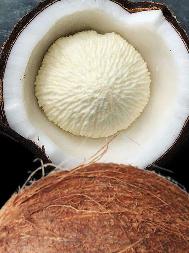 వారెవ్వా.. కొబ్బరి పువ్వులో ఇన్ని గుణాలు ఉన్నాయా? – TV9 Telugu