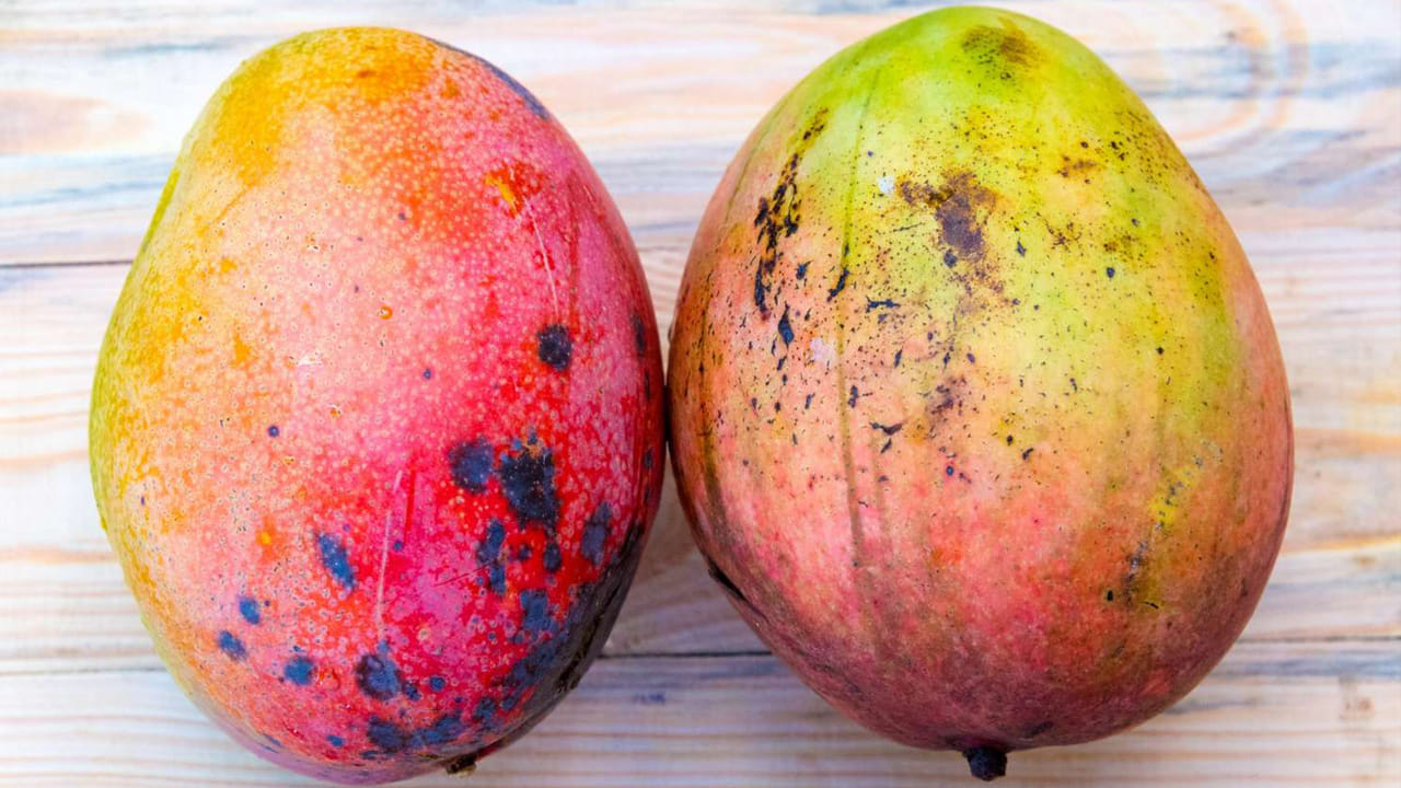 Mango: వేసవిలో మామిడి తినండి.. అనారోగ్యాన్ని తరిమి కొట్టండి.. - Telugu ...