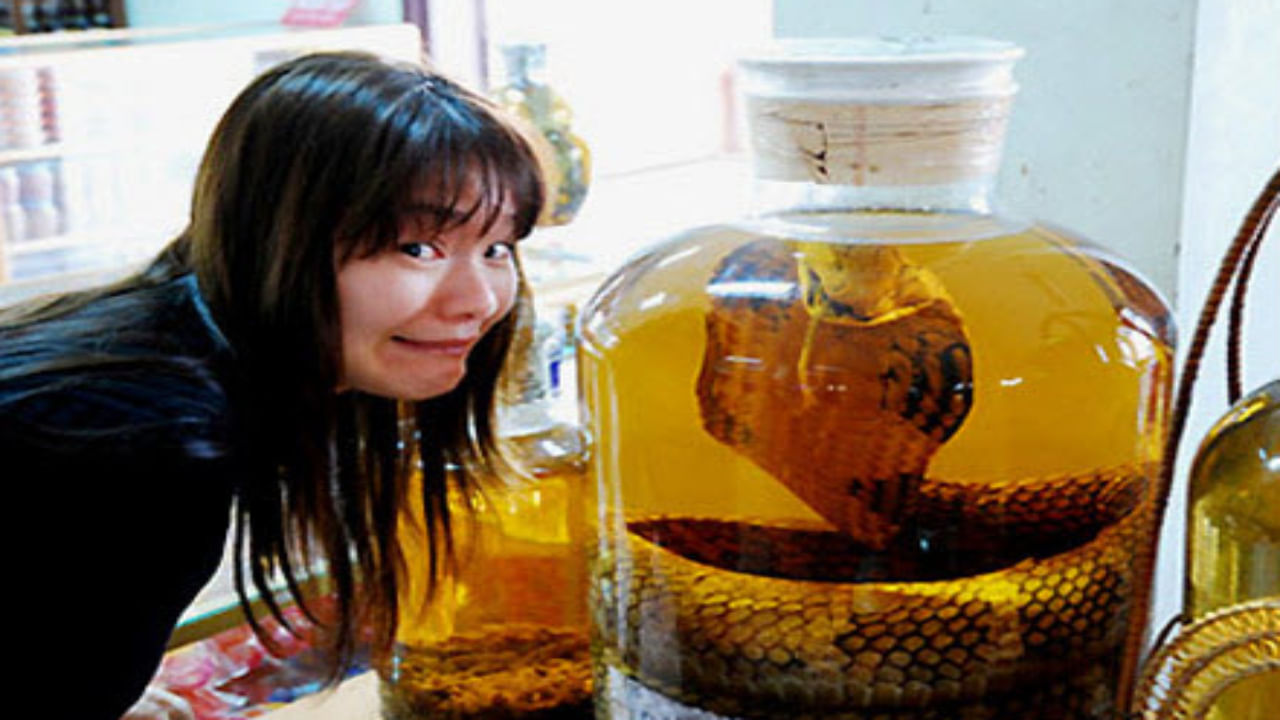 Snake Blood: ఇదేం పోయేకాలం.. పాము రక్తాన్ని మజ్జిగలా తాగేస్తున్న చైనా ...