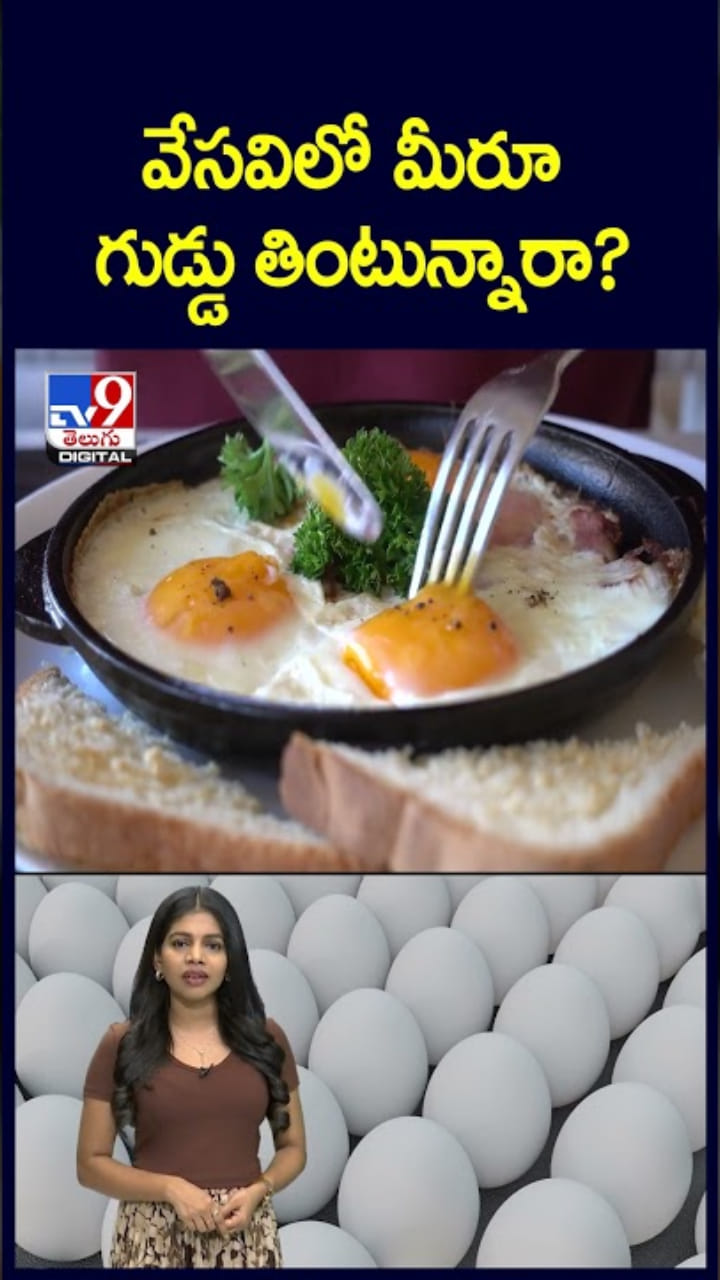 వేసవిలో గుడ్లు ఎక్కువగా తింటున్నారా? - Telugu News | Eggs in Summer: Benefits, Risks, and ...