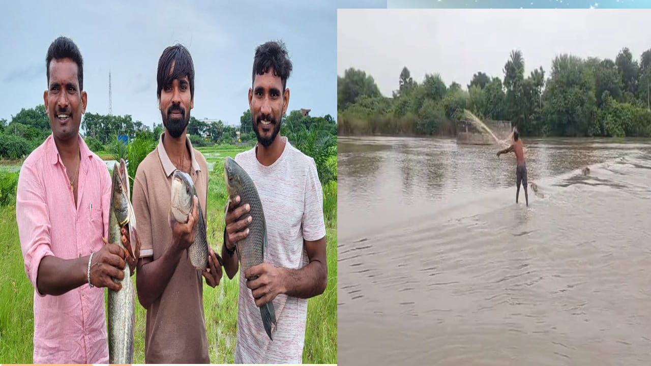Telangana: ఓ వైపు వర్షాలు.. మరోవైపు చేపలు పడుతూ చిల్ అవుతున్న జనం ...