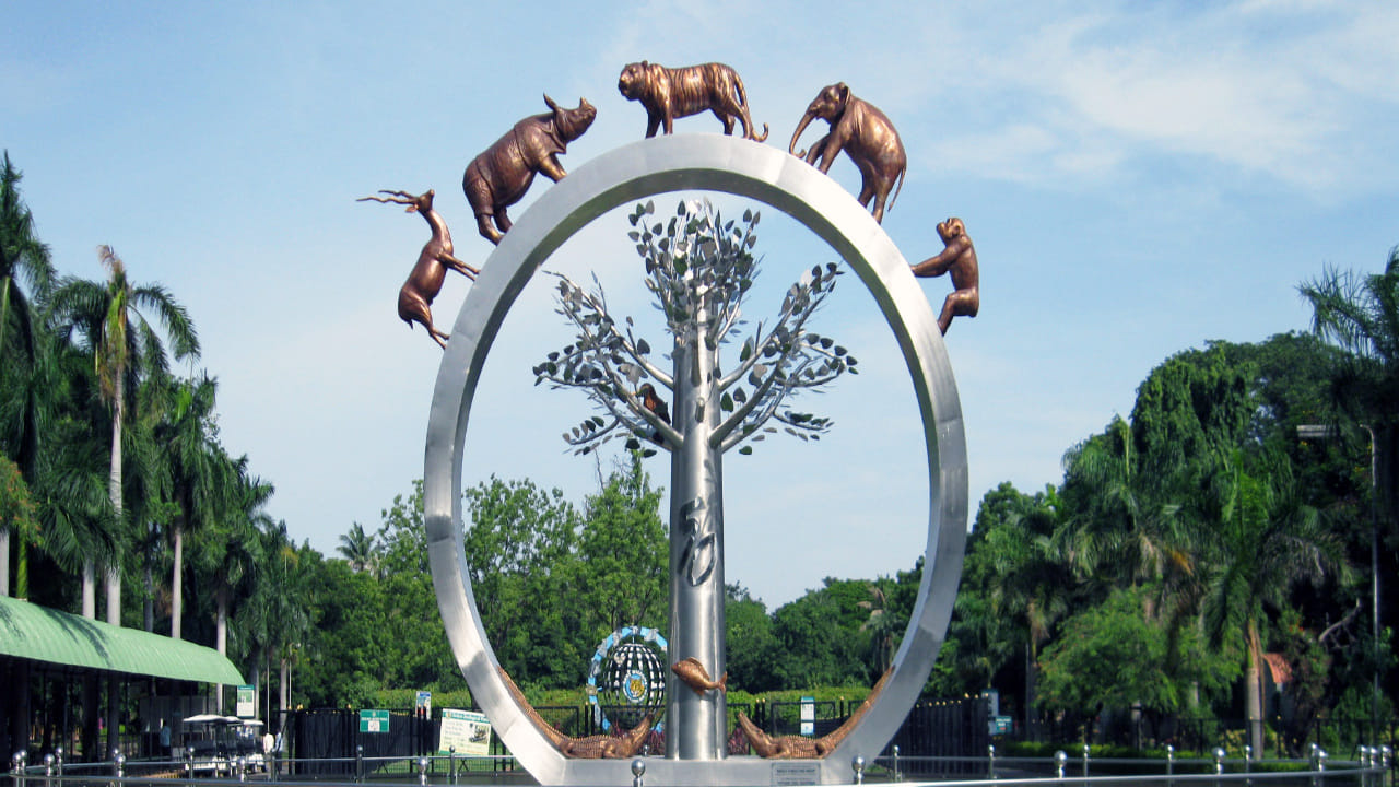 Hyderabad Zoo Park: హైదరాబాదీలకు గుడ్ న్యూస్.. నైట్ సఫారీ మళ్లీ షురూ ...