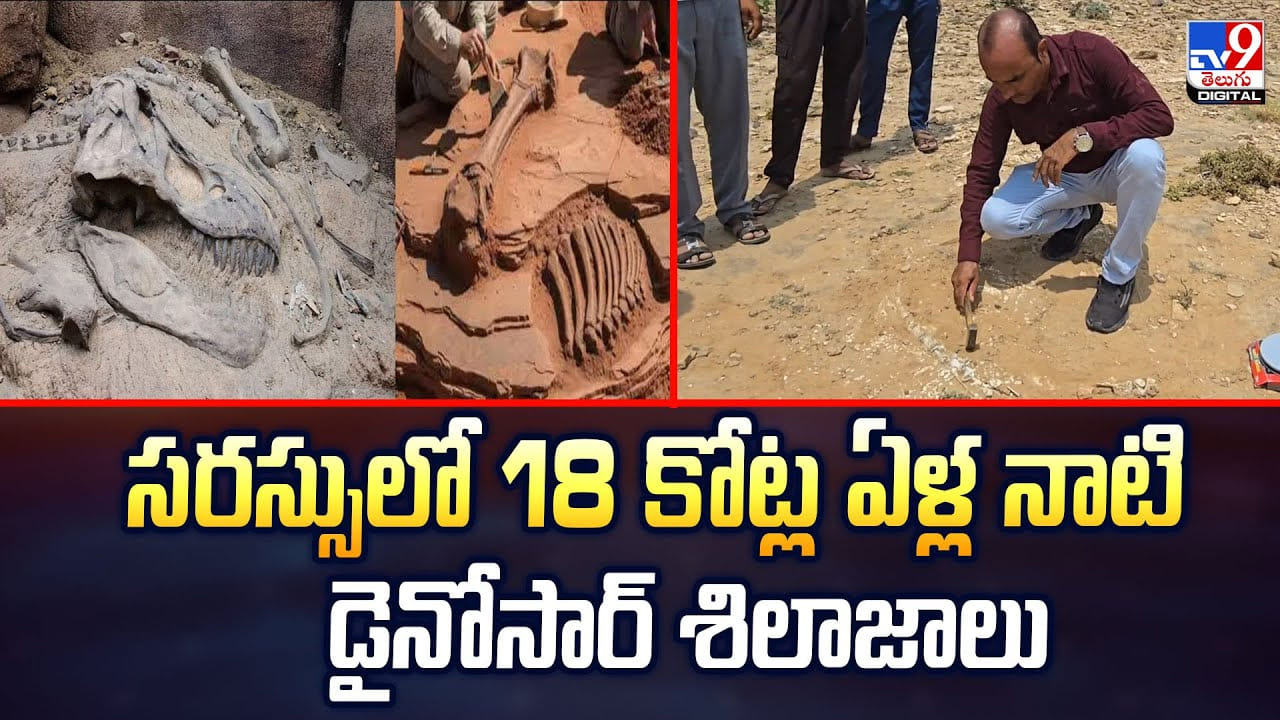 సరస్సులో 18 కోట్ల ఏళ్ల నాటి డైనోసార్‌ శిలాజాలు | Jaisalmer Dinosaur ...