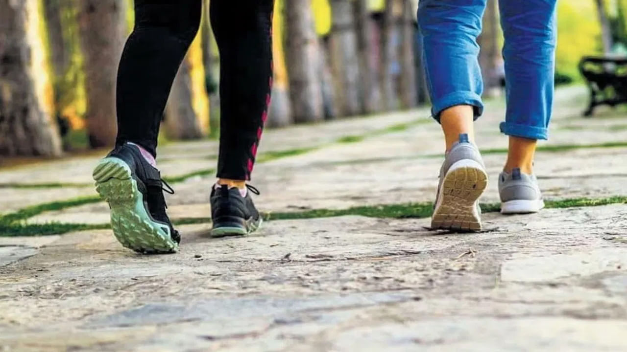 Reverse Walking: రివర్స్ వాకింగ్ ఎప్పుడైనా ట్రై చేశారా? ఇలా నడిస్తే ...