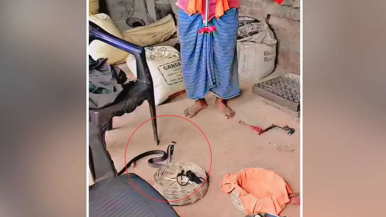 Viral Video: ఓర్నీ.. ఆ పాము ఇంత పని చేస్తదనుకోలే! వీడియో చూస్తే మాత్రం ...
