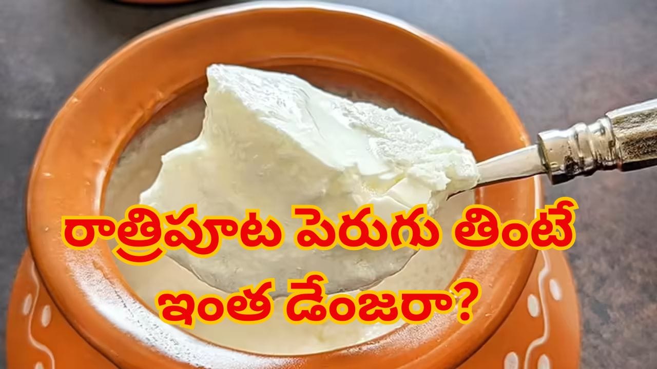 Side Effects of Curd: రాత్రిపూట పెరుగు తింటే ఇంత డేంజరా..? మర్చిపోయి ...