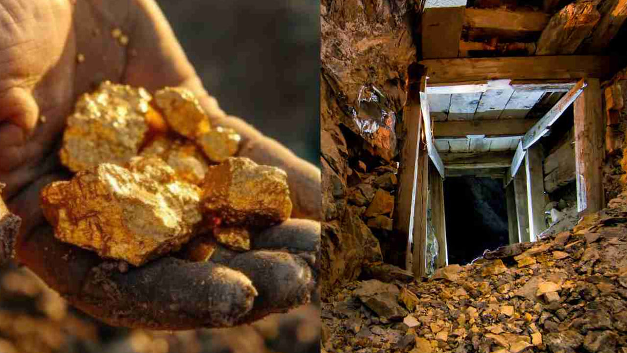 Andhra Pradesh: ఇన్నాళ్లు నెర్రలు బాసిన నేలలో ఇక కనకధారే - Telugu News ...