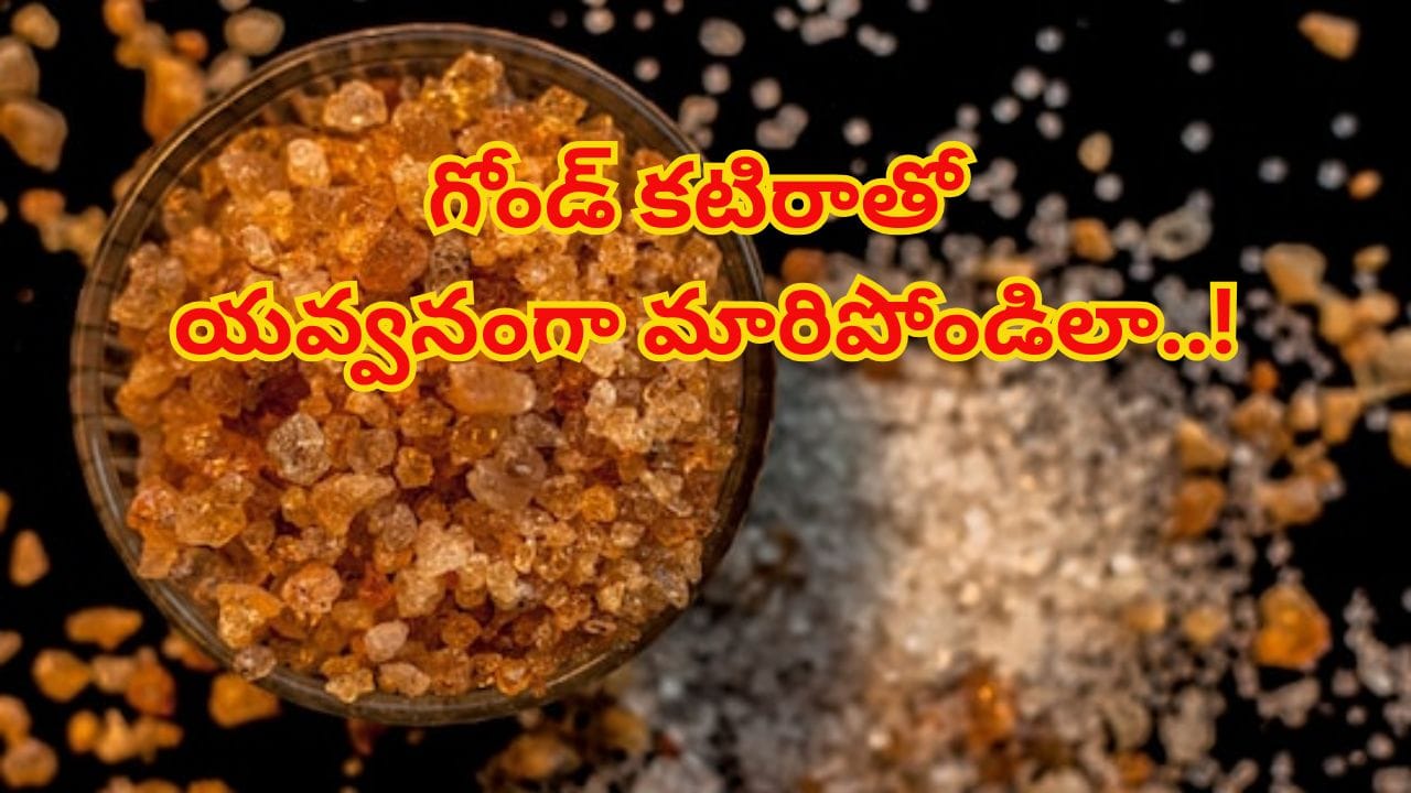Gond Katira : గోండ్‌ కటిరాతో వృద్ధాప్య ఛాయలకు చెక్.. నిత్యం యవ్వనంగా ...