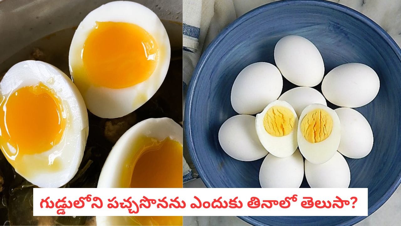 Egg Yolk: గుడ్డు తెల్లసొన మాత్రమే తింటున్నారా? ఎంత పెద్ద తప్పు ...