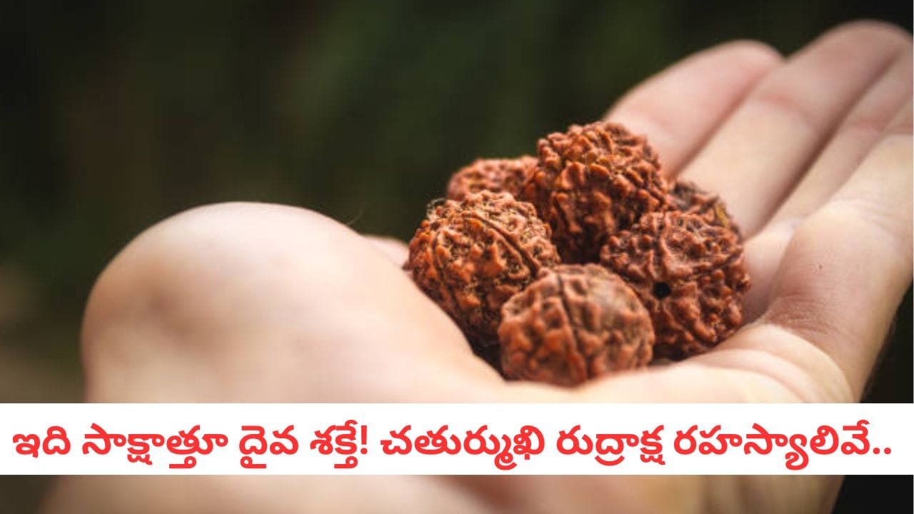 Rudraksha Benefits: ఈ రుద్రాక్షతో మీ లైఫ్ ఛేంజ్! సాక్షాత్తు బ్రహ్మ ...