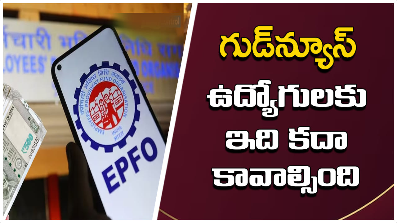 EPFO: ఉద్యోగులకు ఇది కదా కావాల్సింది.. ఈపీఎఫ్‌వో సంచలన నిర్ణయం! | EPF ...