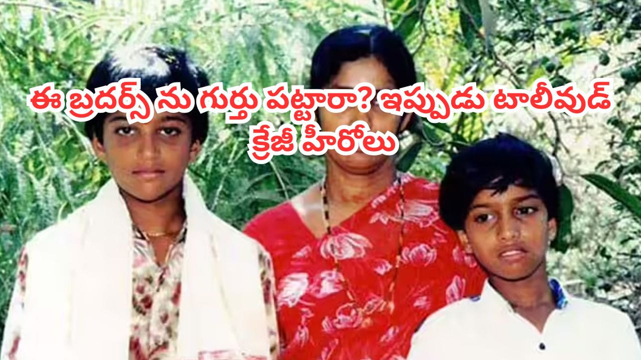 Tollywood: స్టార్ డైరెక్టర్ వారసులు.. ఇప్పుడు టాలీవుడ్ క్రేజీ హీరోలు ...
