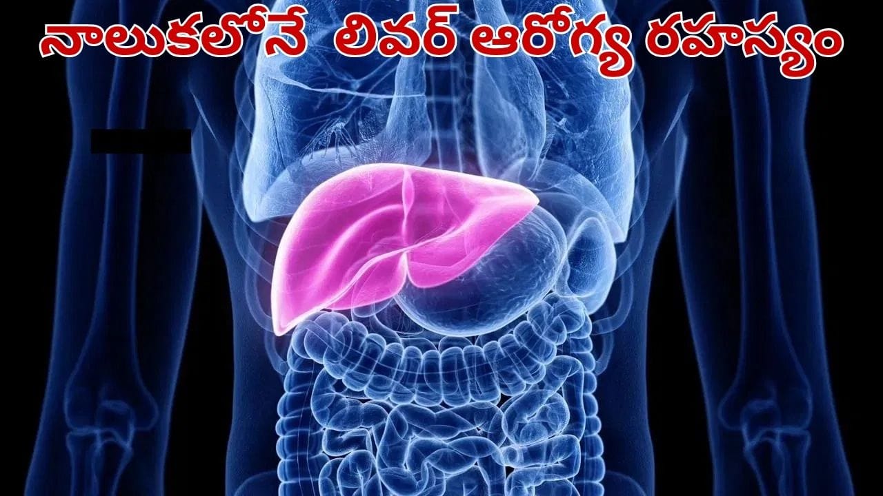 liver-health