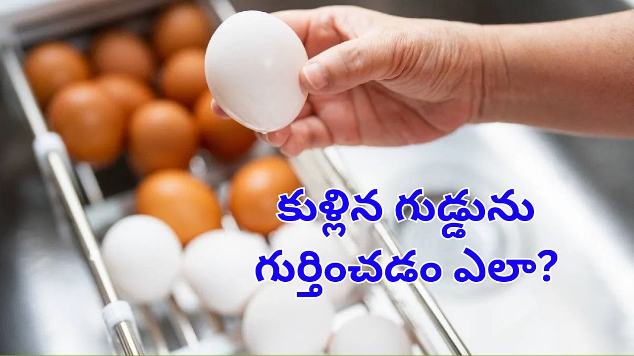 Egg Float Test: ఈ సింపుల్‌ ట్రిక్‌తో.. గుడ్డు కుళ్లిపోయిందో.. లేదో ...