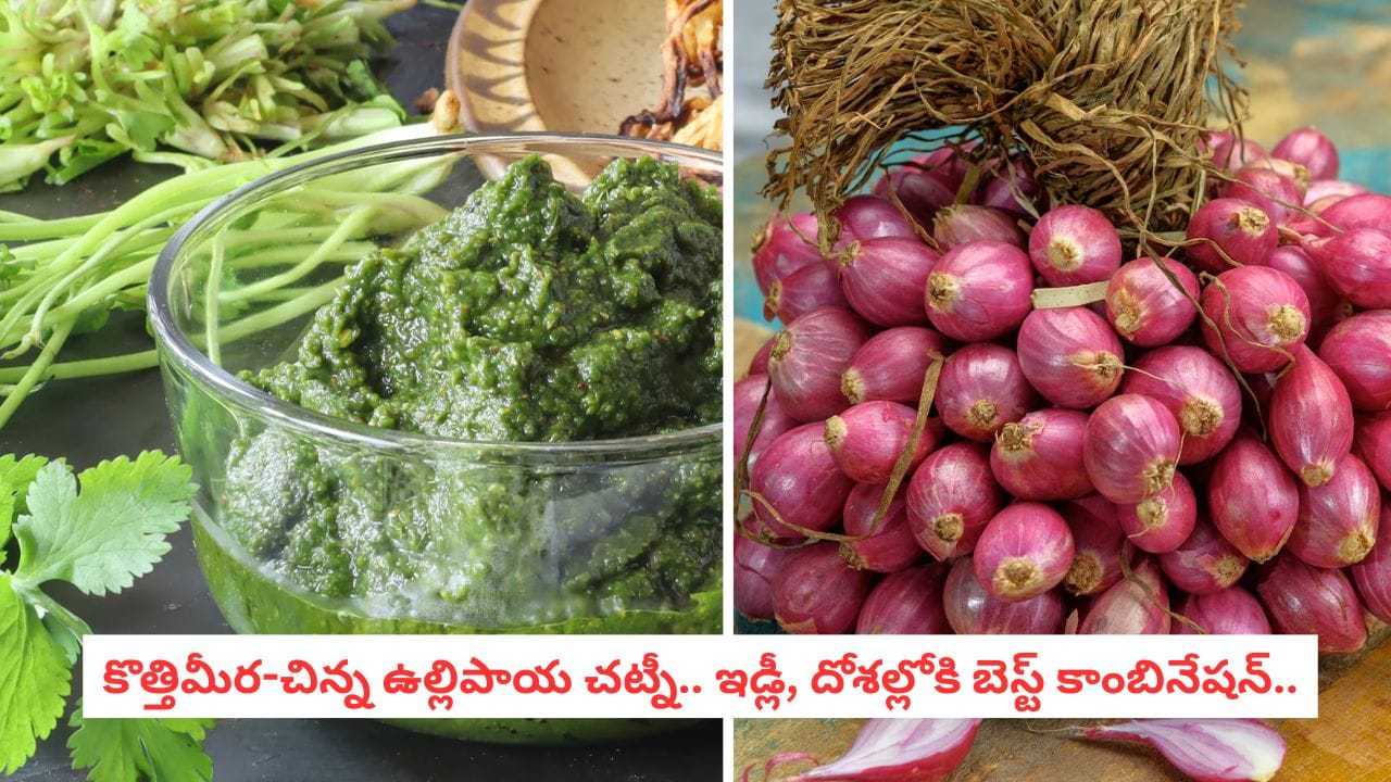 Coriander Chutney Recipe: మీ బ్రేక్‌ఫాస్ట్ రుచిని అమాంతం పెంచే స్పైసీ ...