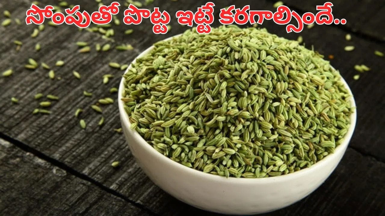 పొట్ట ఐస్‌లా కరగాల్సిందే.. రోజూ సోంపును ఇలా తీసుకుంటే అద్భుతాలే ...