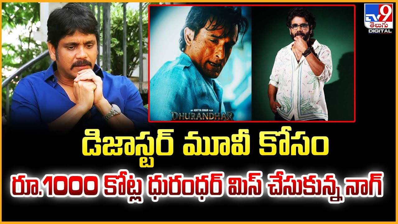 Nagarjuna: డిజాస్టర్ మూవీ కోసం రూ.1000 కోట్ల ధురంధర్ మిస్ చేసుకున్న ...