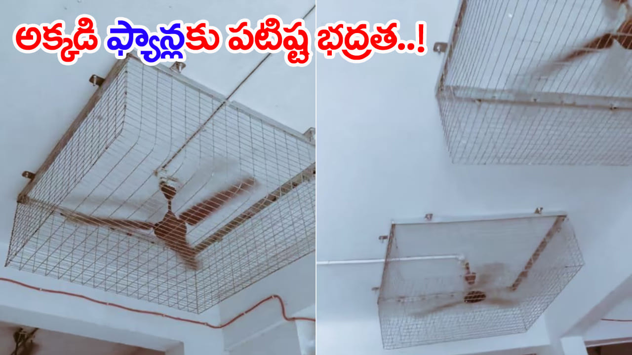 Viral Video: విద్యార్ధుల హాస్టళ్లలో ఫ్యాన్‌లకు పంజరాలు.. నెట్టింట ...